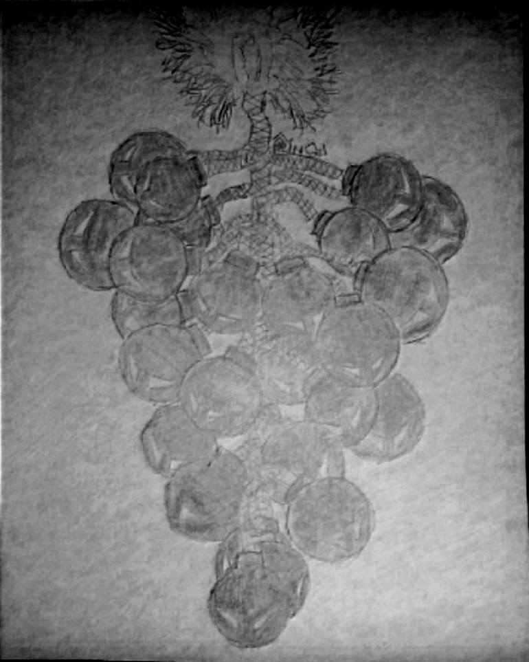 Real Grapes Of Wrath Drawing by Marcus Washington | Saatchi Art