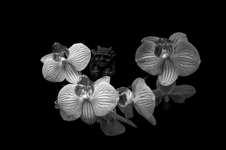 Gargoyles and Orchids 3 - Limited Edition 2 of 12 Photography by ...