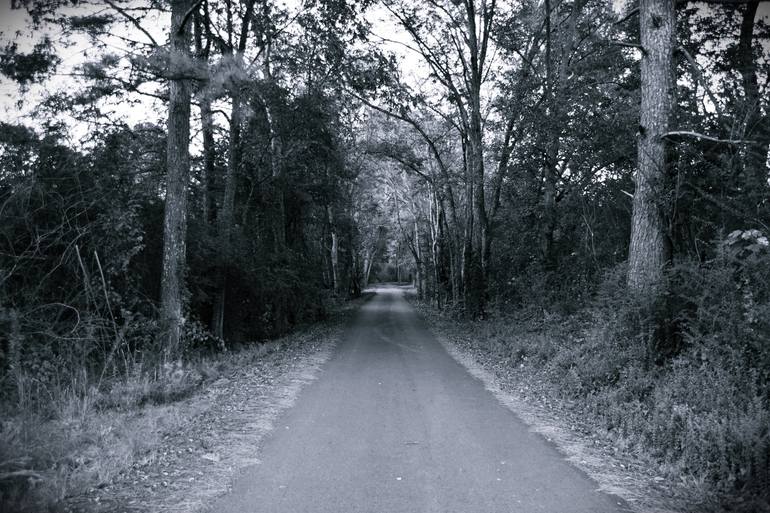 The Road into the Woods 1 - Limited Edition 2 of 15 Photography by ...