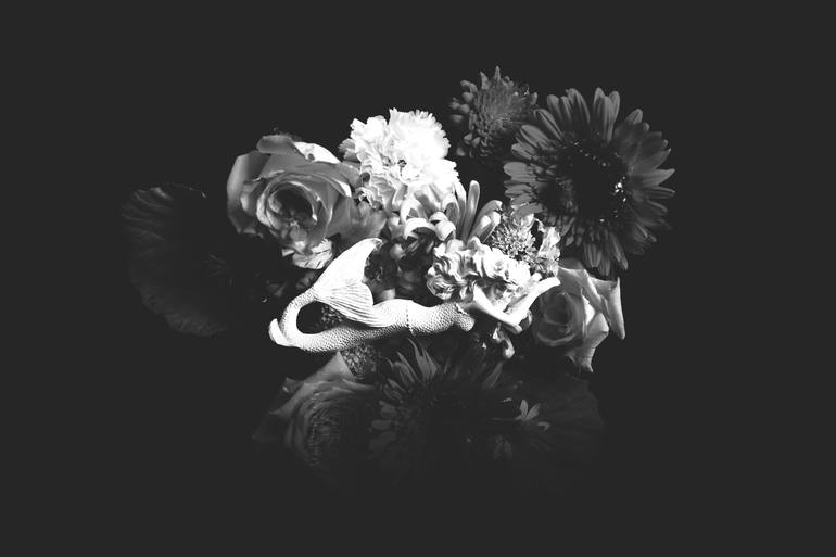 Mermaid Mystery 62 - Limited Edition 2 of 15 Photography by christine ...