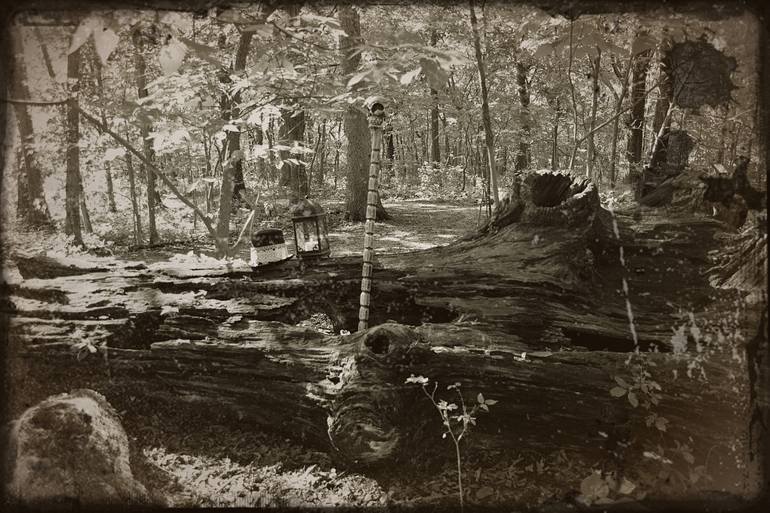 What the Shadow Man Left Behind 15 - Limited Edition 3 of 20 ...