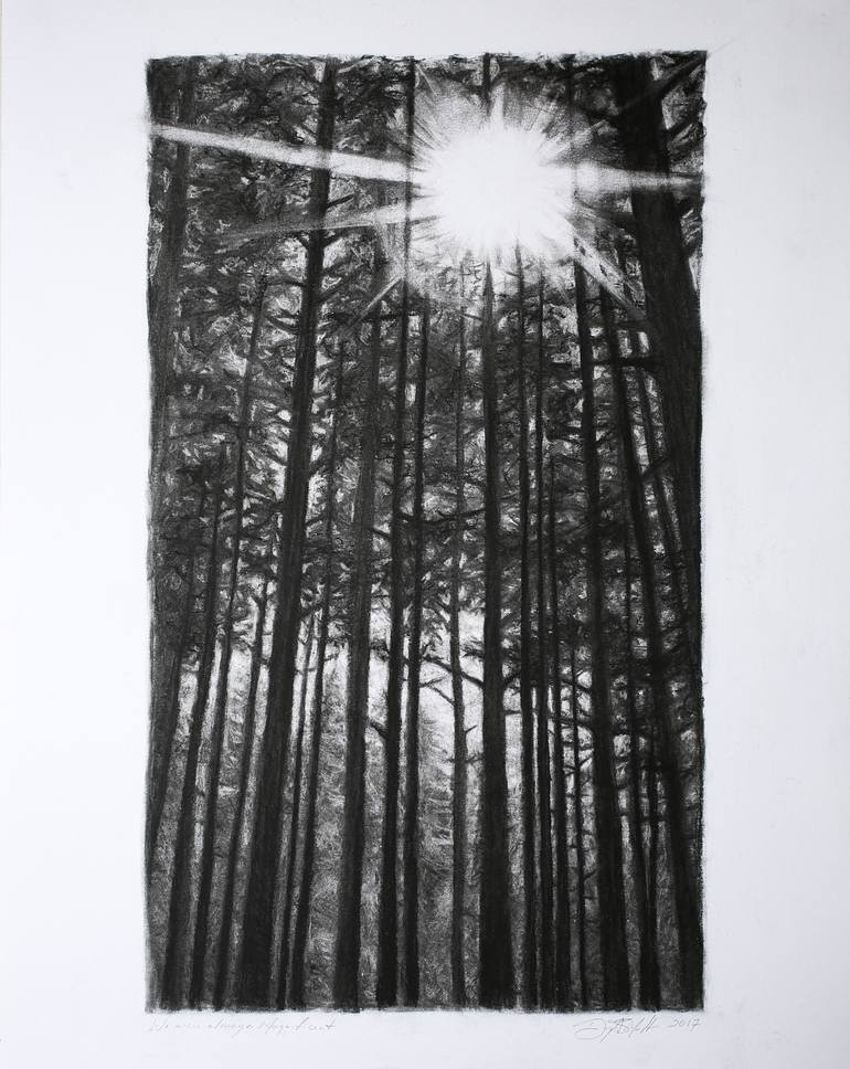 We Were Always Magnificent Drawing by Darcy Scanlon Moulton | Saatchi Art