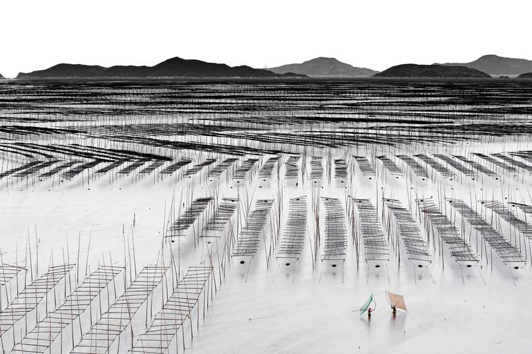 Mudflats Of Xiapu #3 - Limited Edition of 20 Photography by Yancho ...