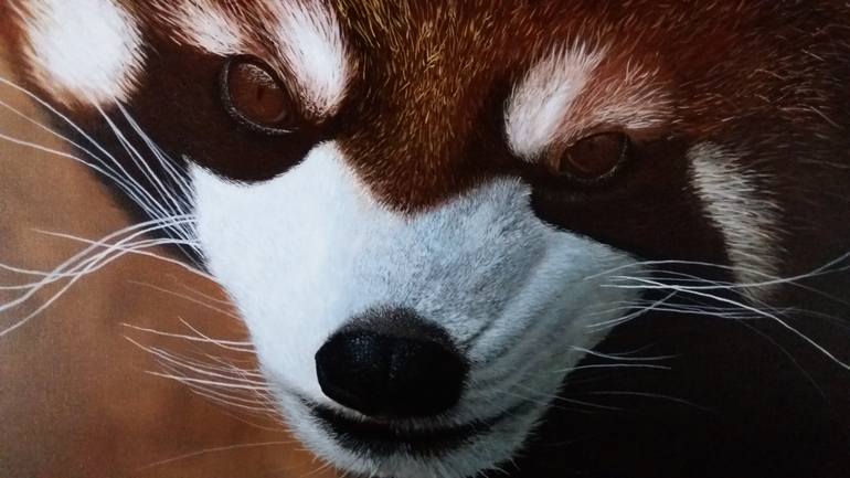 Red panda Painting by Erik Flothmann | Saatchi Art