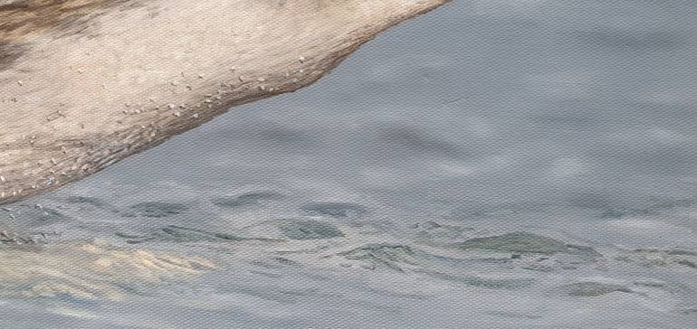 Great Crested Grebe Painting by Erik Flothmann | Saatchi Art