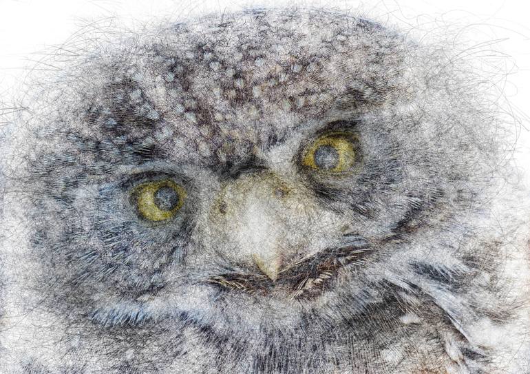 Owl scribble Artwork Drawing by Khal Shakshuki | Saatchi Art